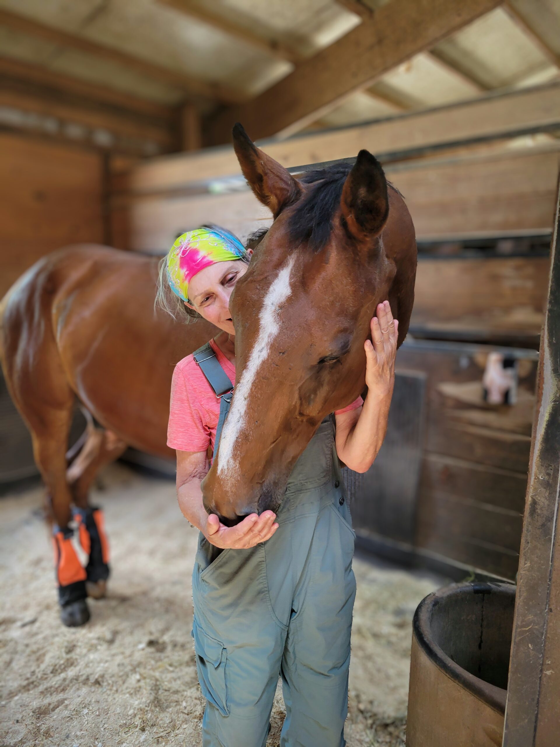 About Sally – Cloud Nine Equine